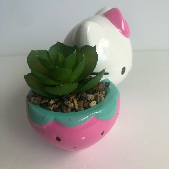 Hello Kitty | Other | New Hello Kitty X Sanrio Strawberry Succulent ...